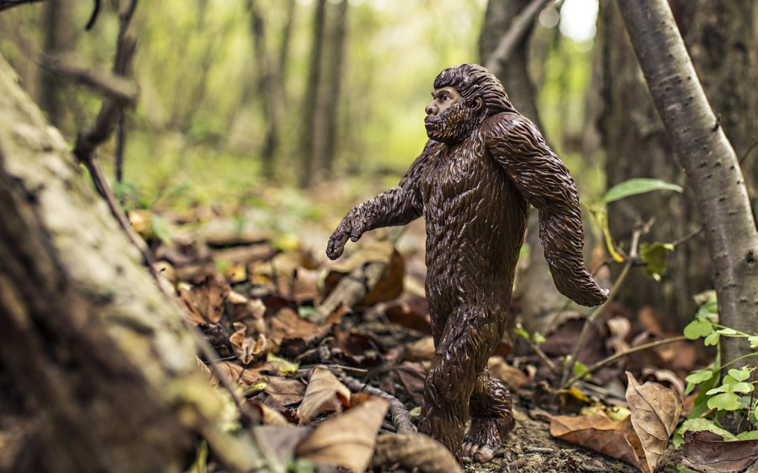 14 SONGS ABOUT BIGFOOT THAT DON T SUCK 14 SONGS ABOUT BIGFOOT THAT DON T SUCK